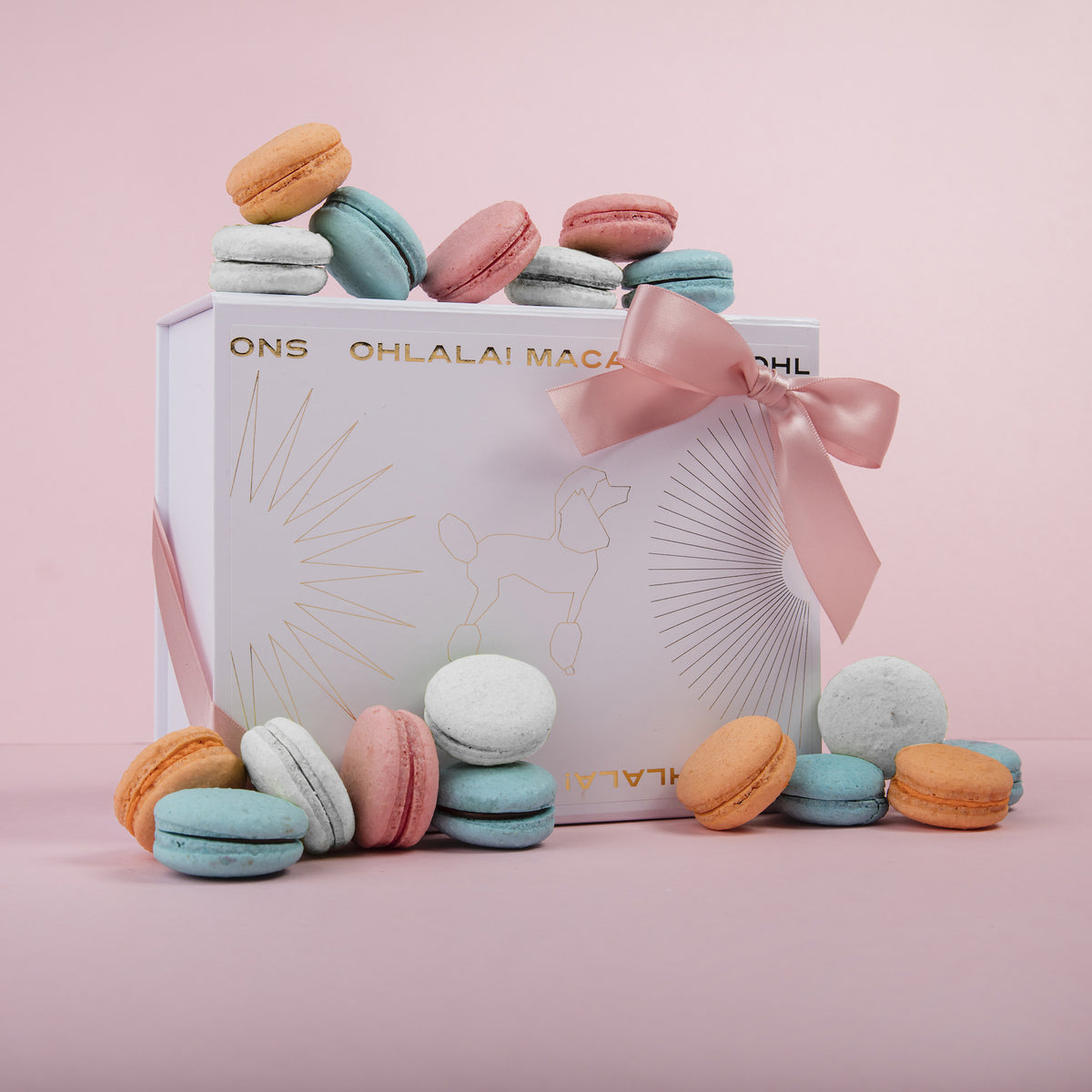 Best Macarons Delivery Across UK | Oh La La! Macarons